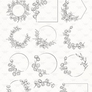 Cotton Flower Line Art Vector Illustration, Botanical Drawing, AI SVG ...
