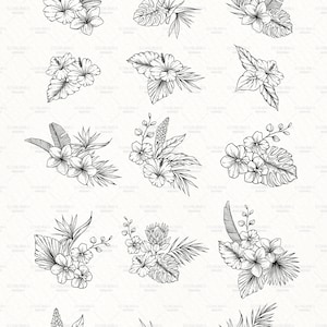 Tropical Botanicals, Floral Line Art, Botanical Line Art SVG, Tropical ...