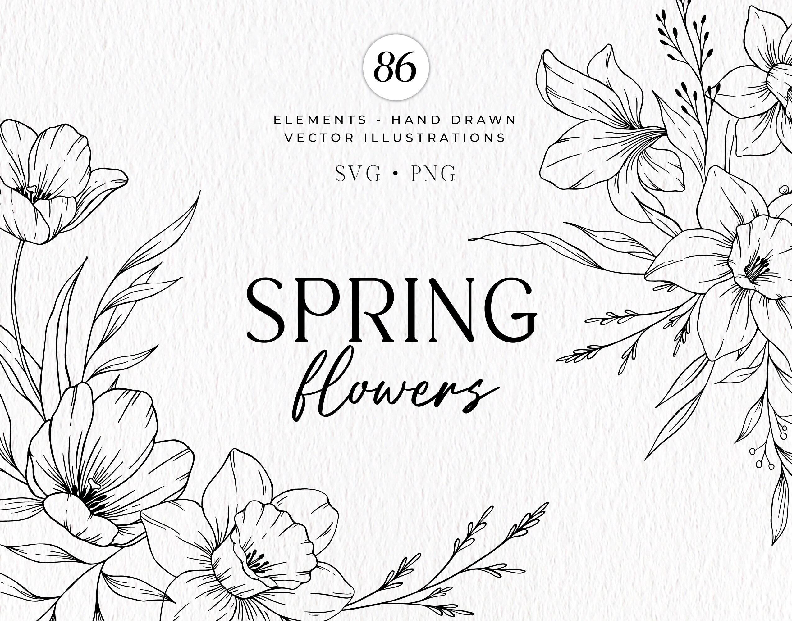 Spring Flower Border Black And White