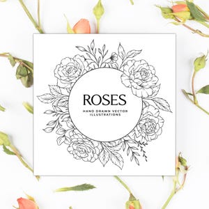 Rose Fine Line Artwork, Rose Designs, Botanical Line Art, SVG, Clipart ...