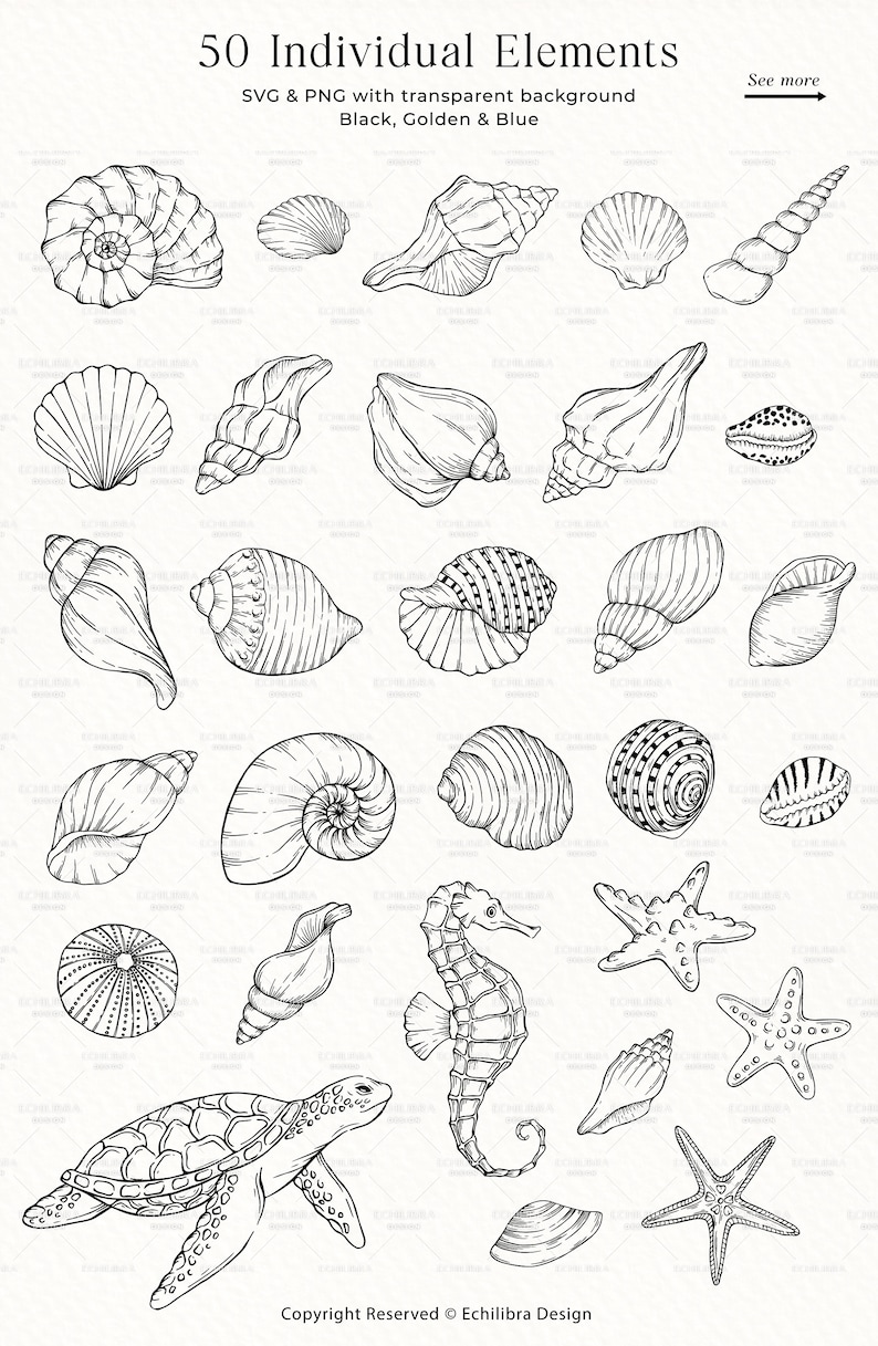 Seashells SVG Bundle, Nautical Clipart, Marine Life PNG, Coastal ...