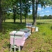 Hive Inspection Checklist for Hives Labeled by Number (#1, #2, Etc.) - Etsy