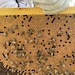 Hive Inspection Checklist for Hives Labeled by Number (#1, #2, Etc.) - Etsy