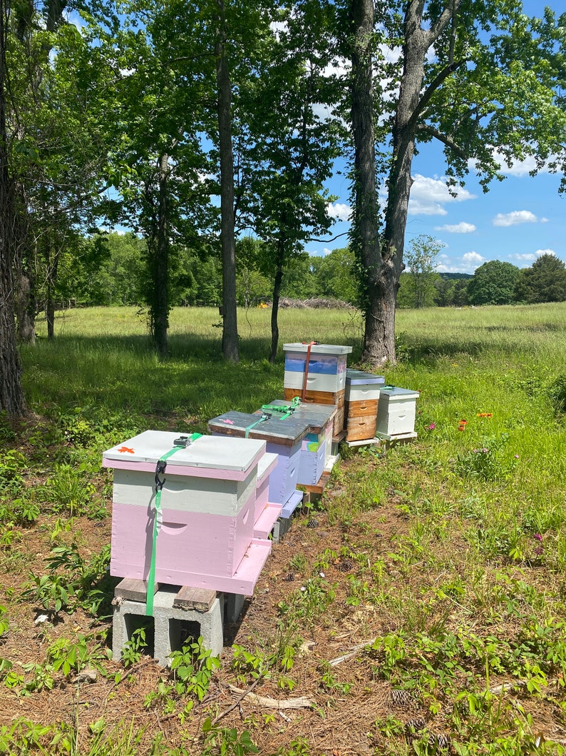 Winter Hive Record for Hives Labeled by Number (#1, #2, Etc.) - Etsy