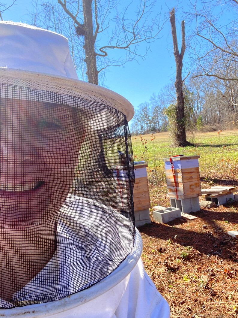 Winter Hive Record for Hives Labeled by Color (red, Yellow, Etc.) - Etsy