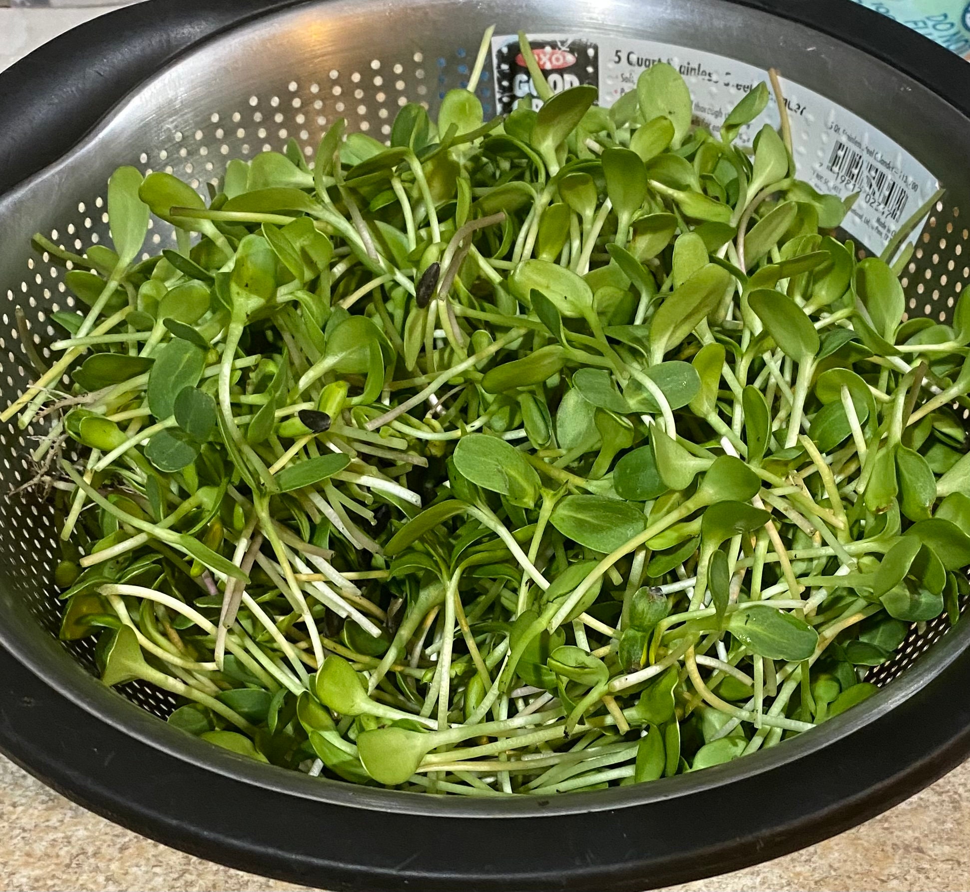 Fresh Organic Microgreens Grown to Order Full or Half Trays - Etsy