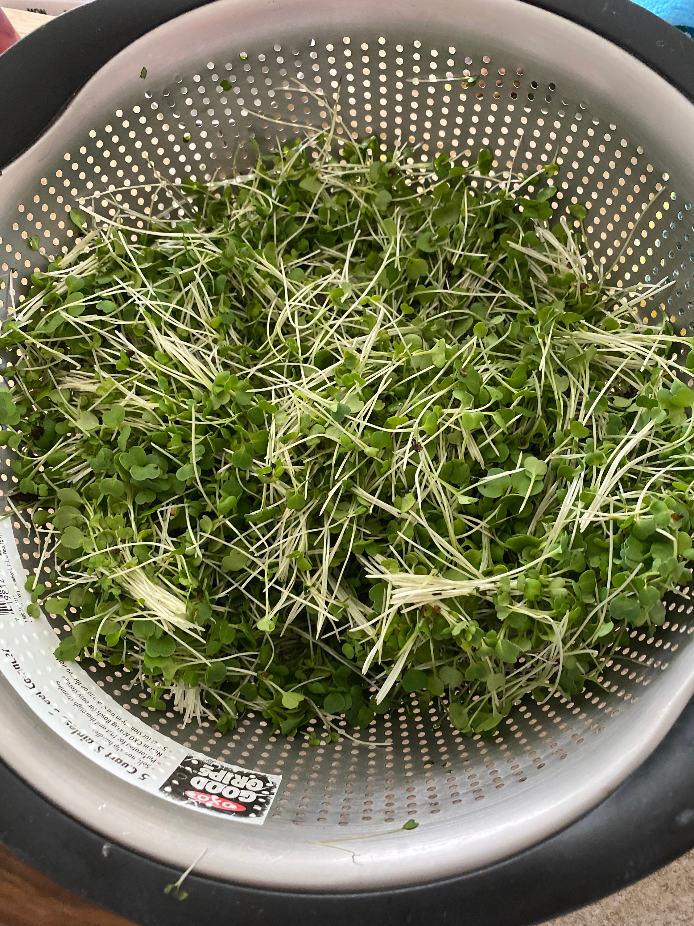 Fresh Organic Microgreens Grown to Order Full or Half Trays - Etsy