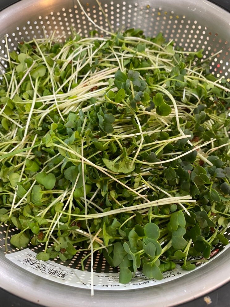 Fresh Organic Microgreens Grown to Order Full or Half Trays - Etsy