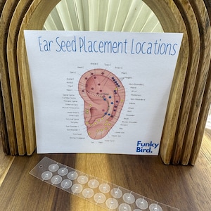 Ear Seeds With Chart, Acupressure Ear Seed Pack, Tiny Silver Ear Seeds ...
