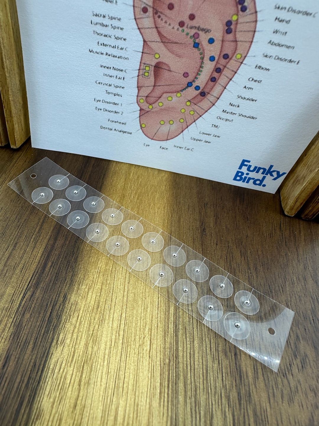 Silver Ear Seeds With Chart, Acupressure Ear Seed Pack, Tiny Silver Ear ...