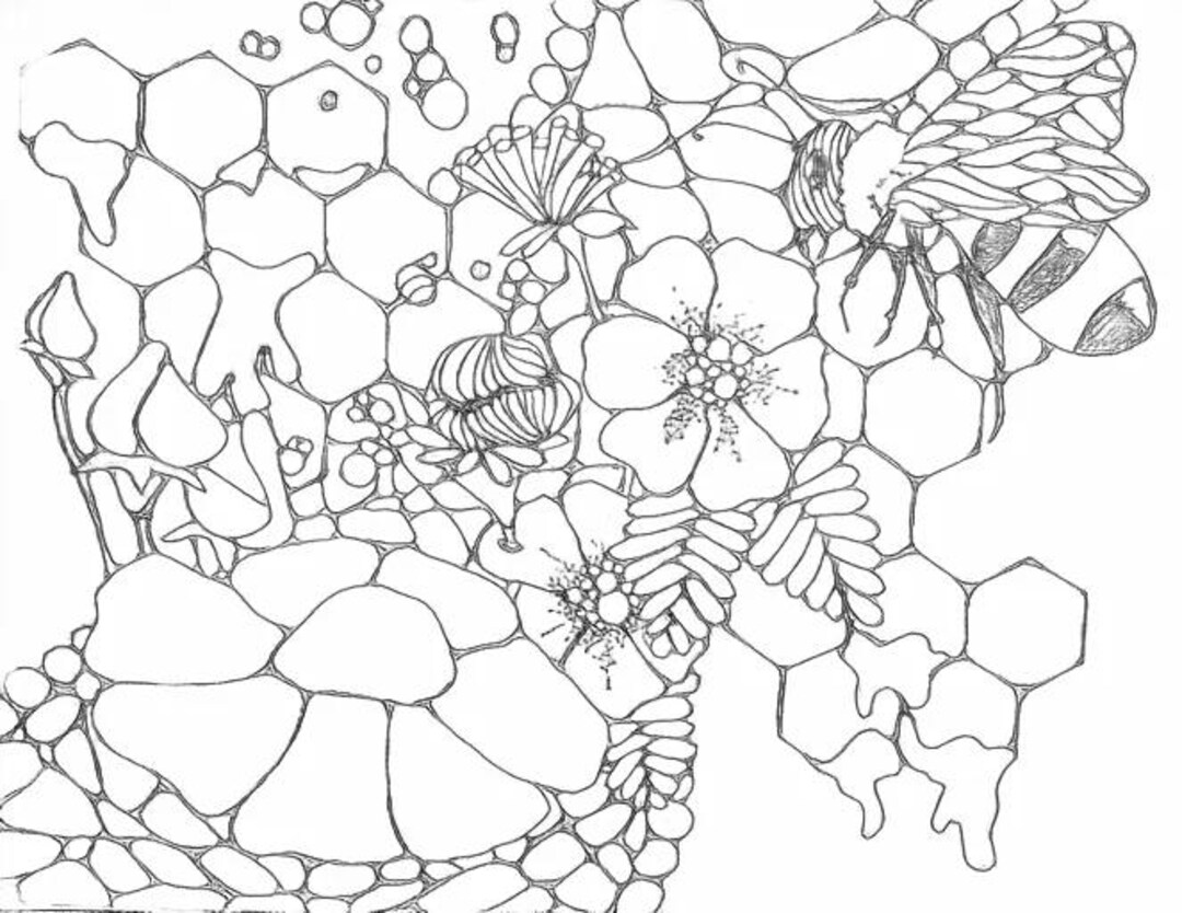 Gord, Roses, Bee, Moon, and Pinecone Coloring Pages - Etsy