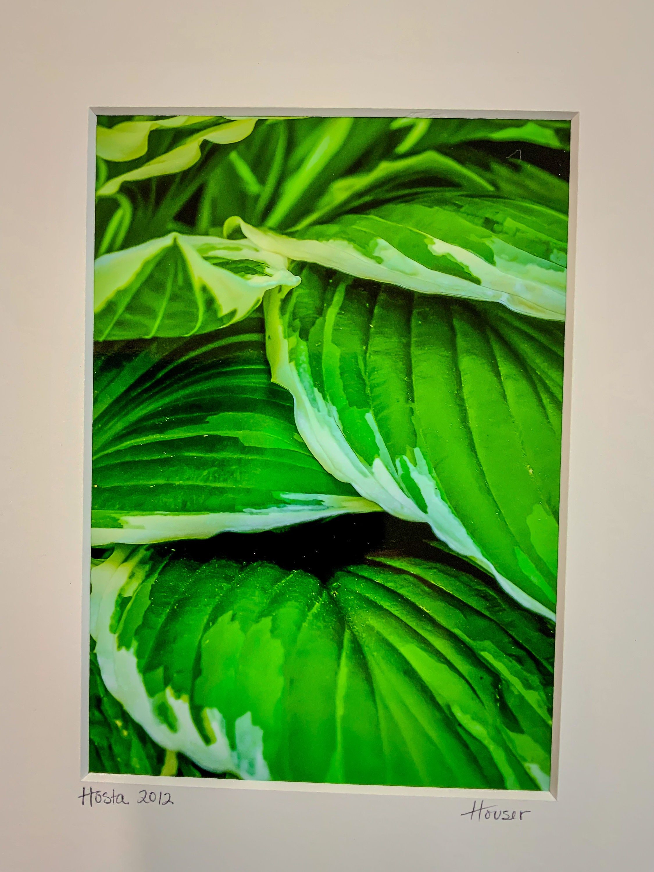 Layers of Hosta Photo Art | Handmade Matted and Mounted Print - Etsy