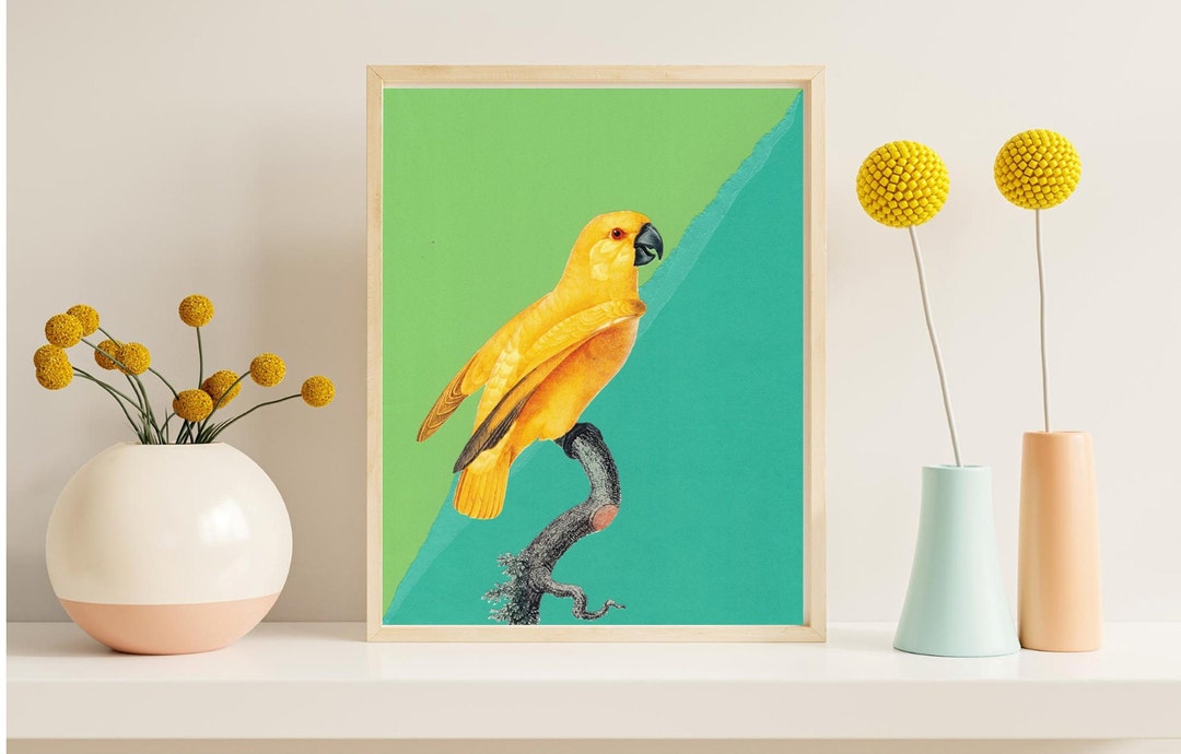 Yellow Parrot Collage Digital File - Etsy