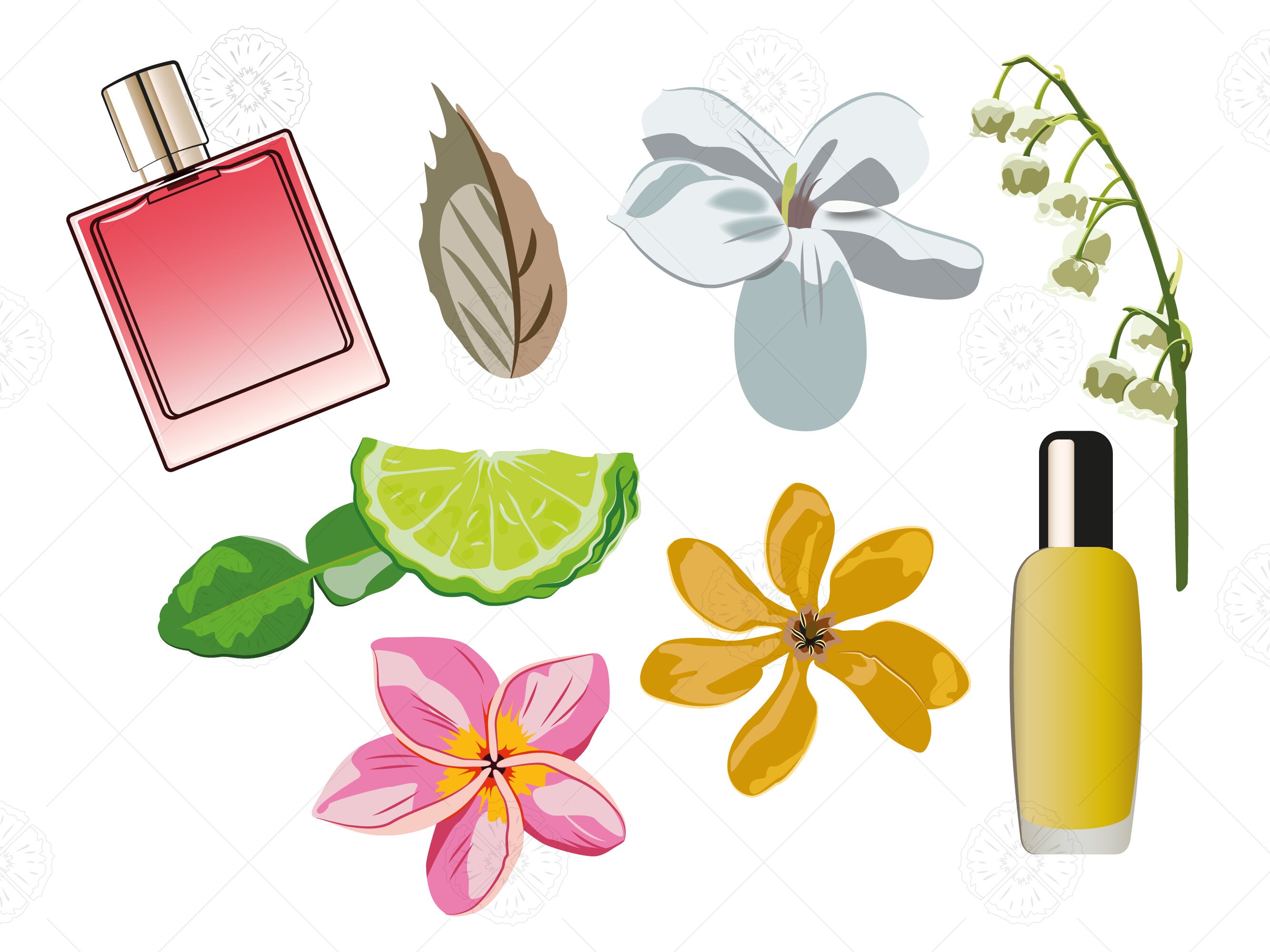 Perfume Clip Art Set Fragrance Clip Art Fashion & Beauty - Etsy