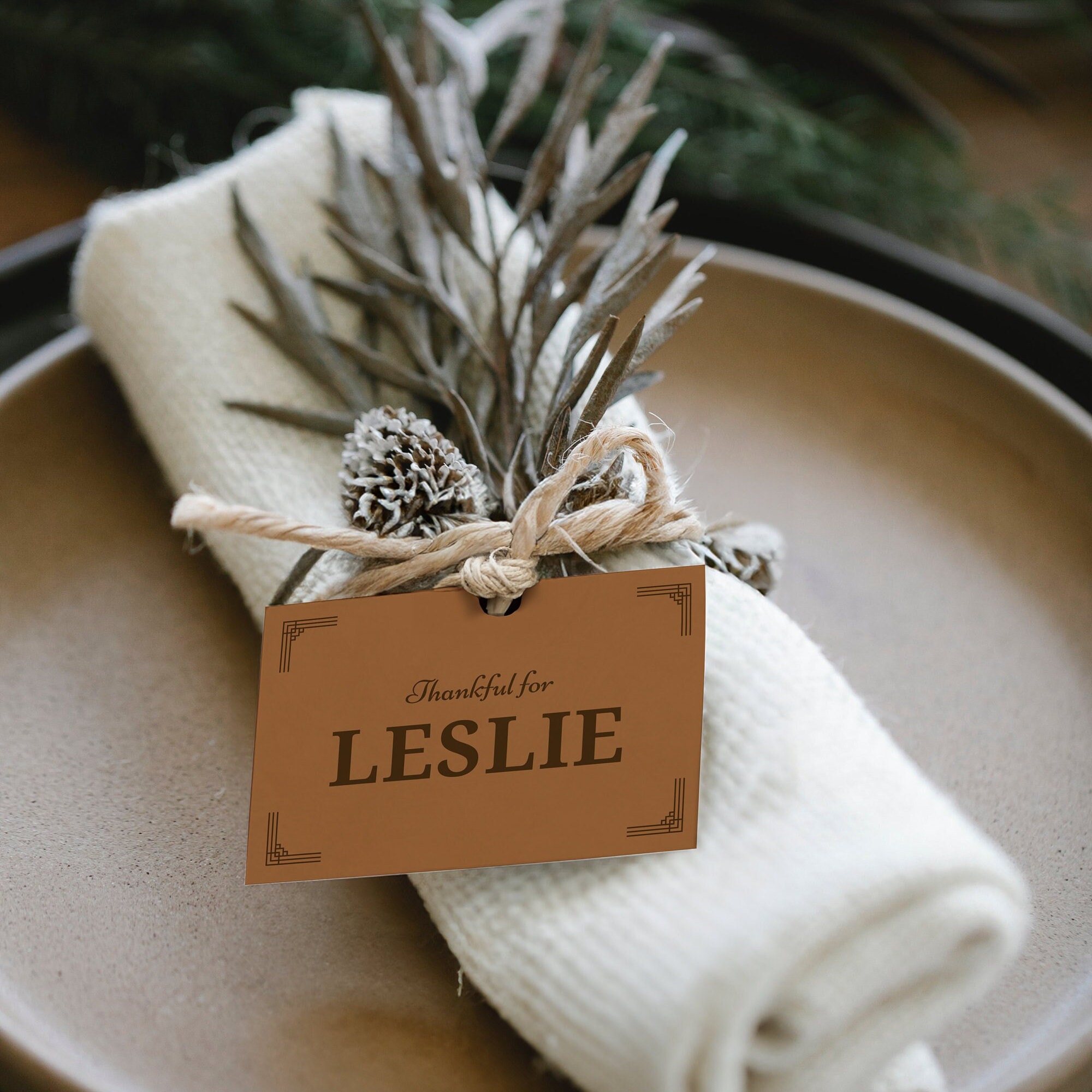 Customizable Dinner Name Cards Table Placement Cards Napkin Tags Print ...