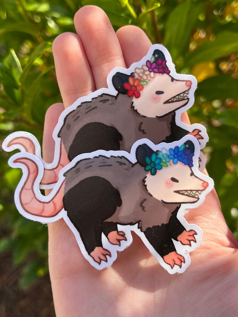 Pride Possum Stickers 3 Waterproof/weatherproof - Etsy