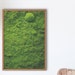 Large Moss Wall Art - Nature Poster - Green Art Print - Eco-friendly ...