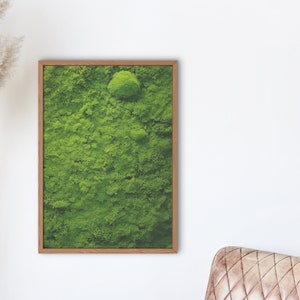 Large Moss Wall Art - Nature Poster - Green Art Print - Eco-friendly ...