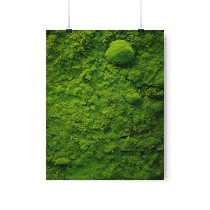 Large Moss Wall Art - Nature Poster - Green Art Print - Eco-friendly ...