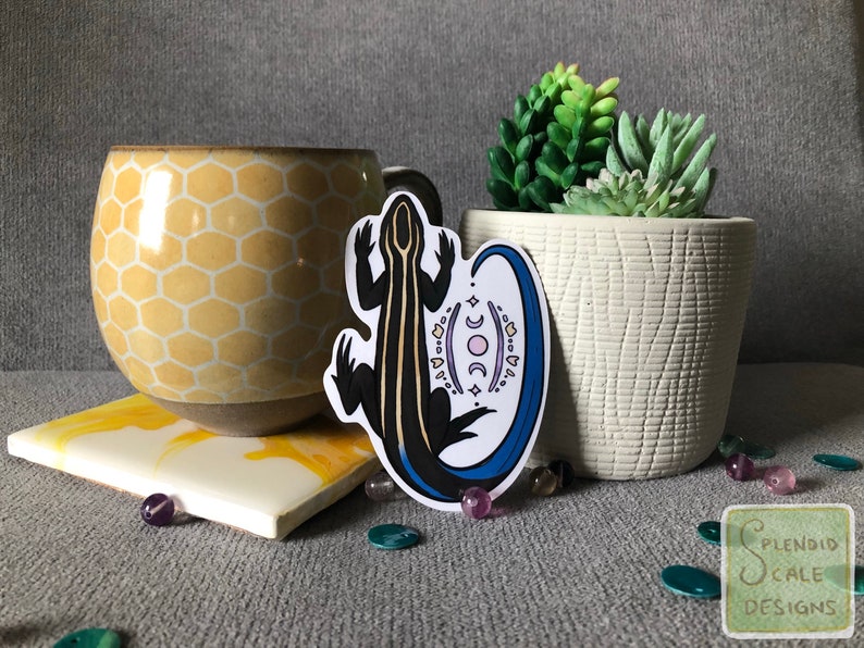 Five Lined Skink Blue Tailed Lizard Celestial Moon Reptile - Etsy