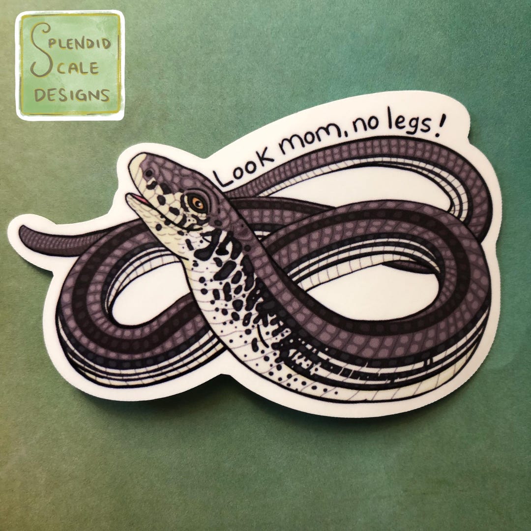 Legless Glass Lizard Look Mom No Legs Funny Silly Reptile Vinyl Sticker ...