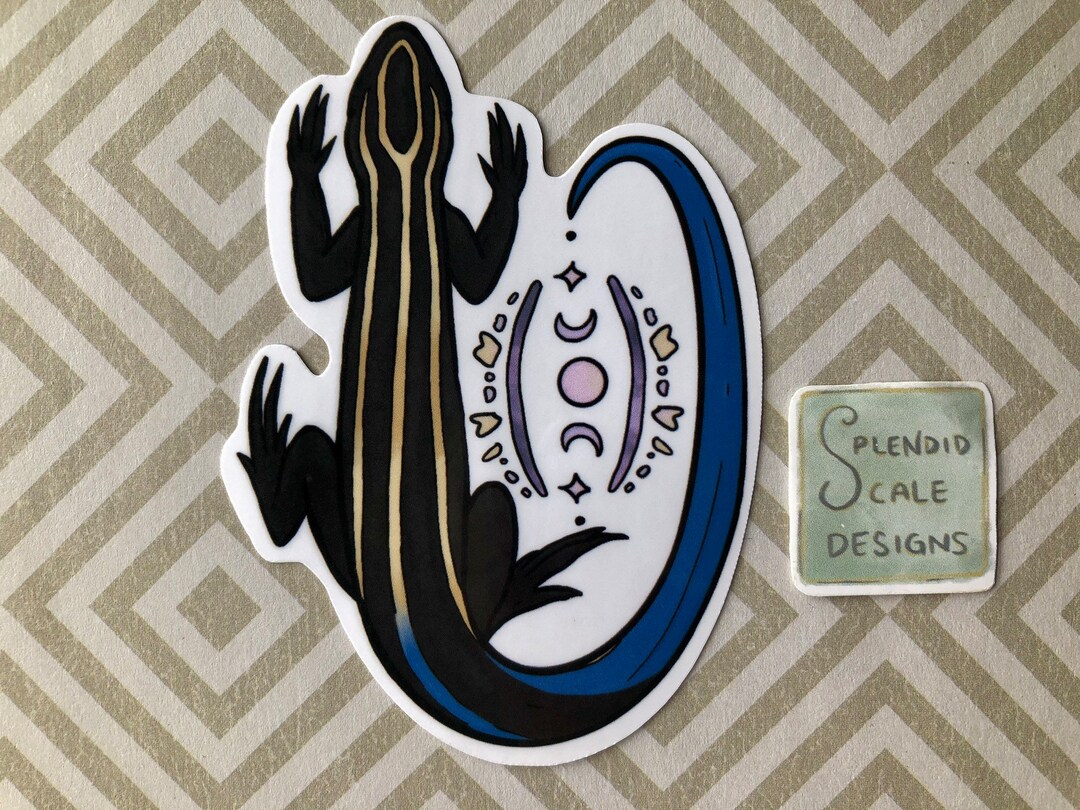 Five Lined Skink Blue Tailed Lizard Celestial Moon Reptile - Etsy