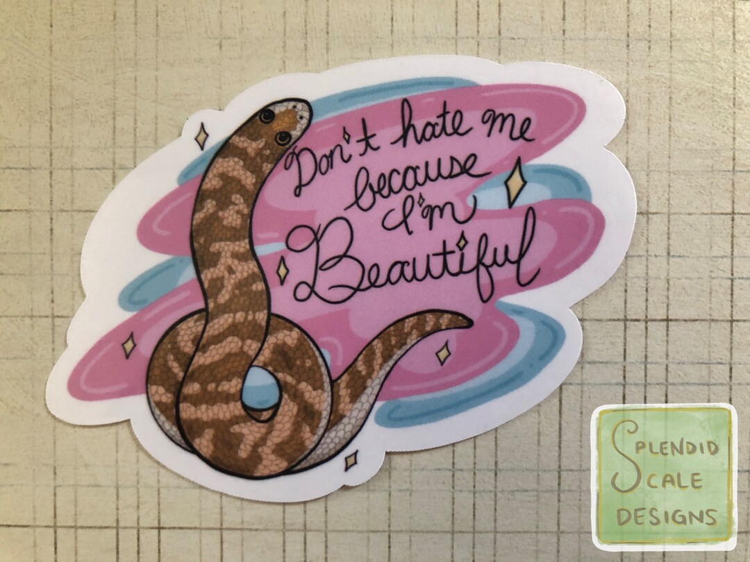 Arabian Sand Boa Don’t Hate Me Because I’m Beautiful Derpy Cute Snake ...