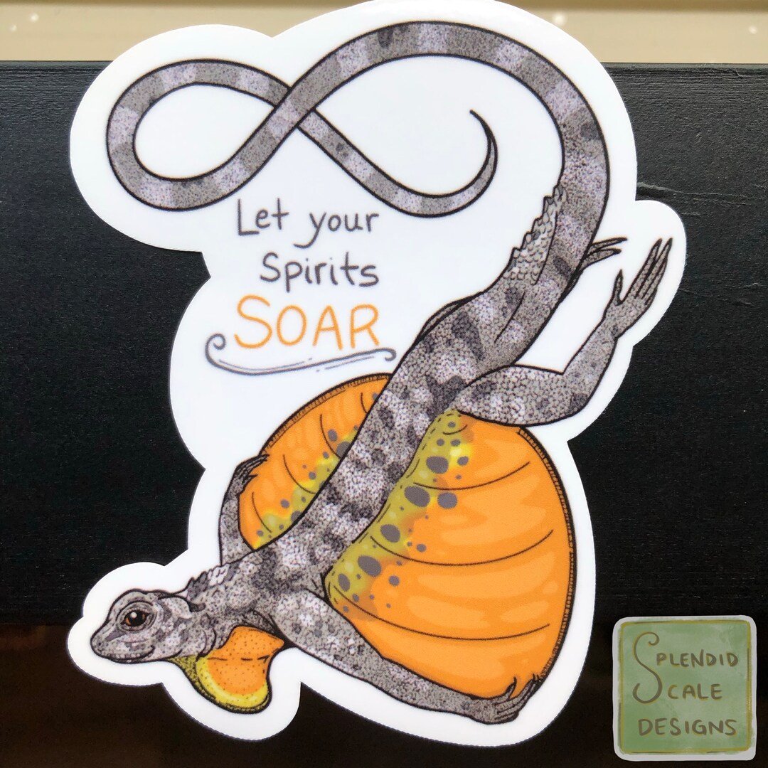 Let Your Spirits Soar Draco Flying Gliding Lizard Motivational ...