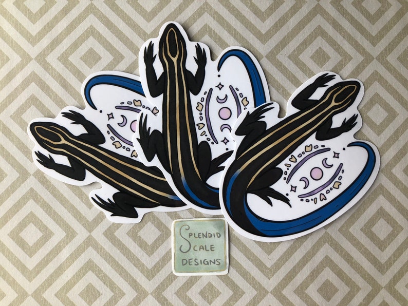 Five Lined Skink Blue Tailed Lizard Celestial Moon Reptile - Etsy