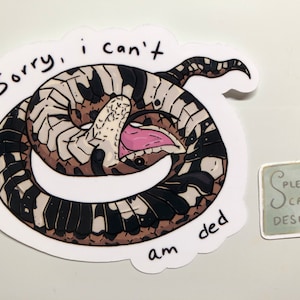 Hognose Snake Dramatic Playing Dead Funny Reptile Vinyl Sticker - Etsy