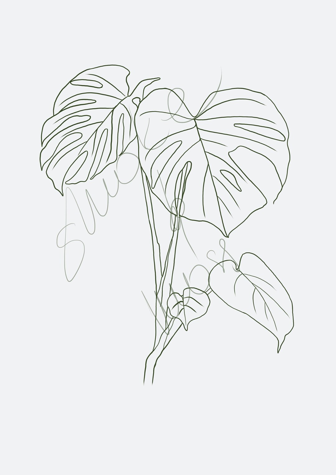 Monstera Hand Drawn Digital Illustration/ Vector for Decor, Branding ...