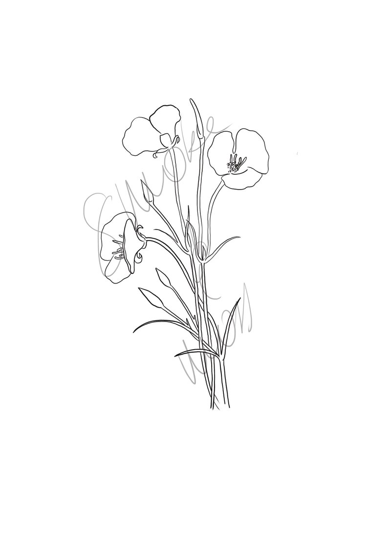 Poppy Flower Line Art Digital Illustration for Wedding Decor, Tattoos ...