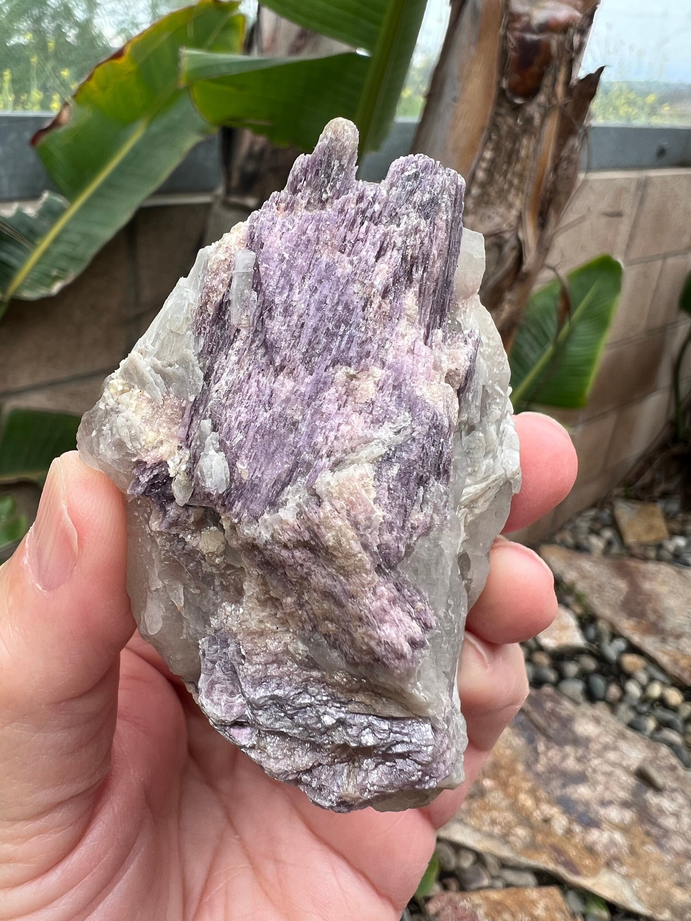 Purple Lepidolite Crystal With Mica on Matrix - Display Stand Included ...