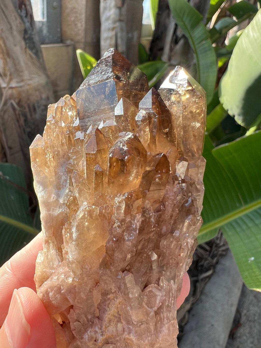 Kundalini Citrine Quartz Crystal Cluster From the DRC Deep Color - Etsy