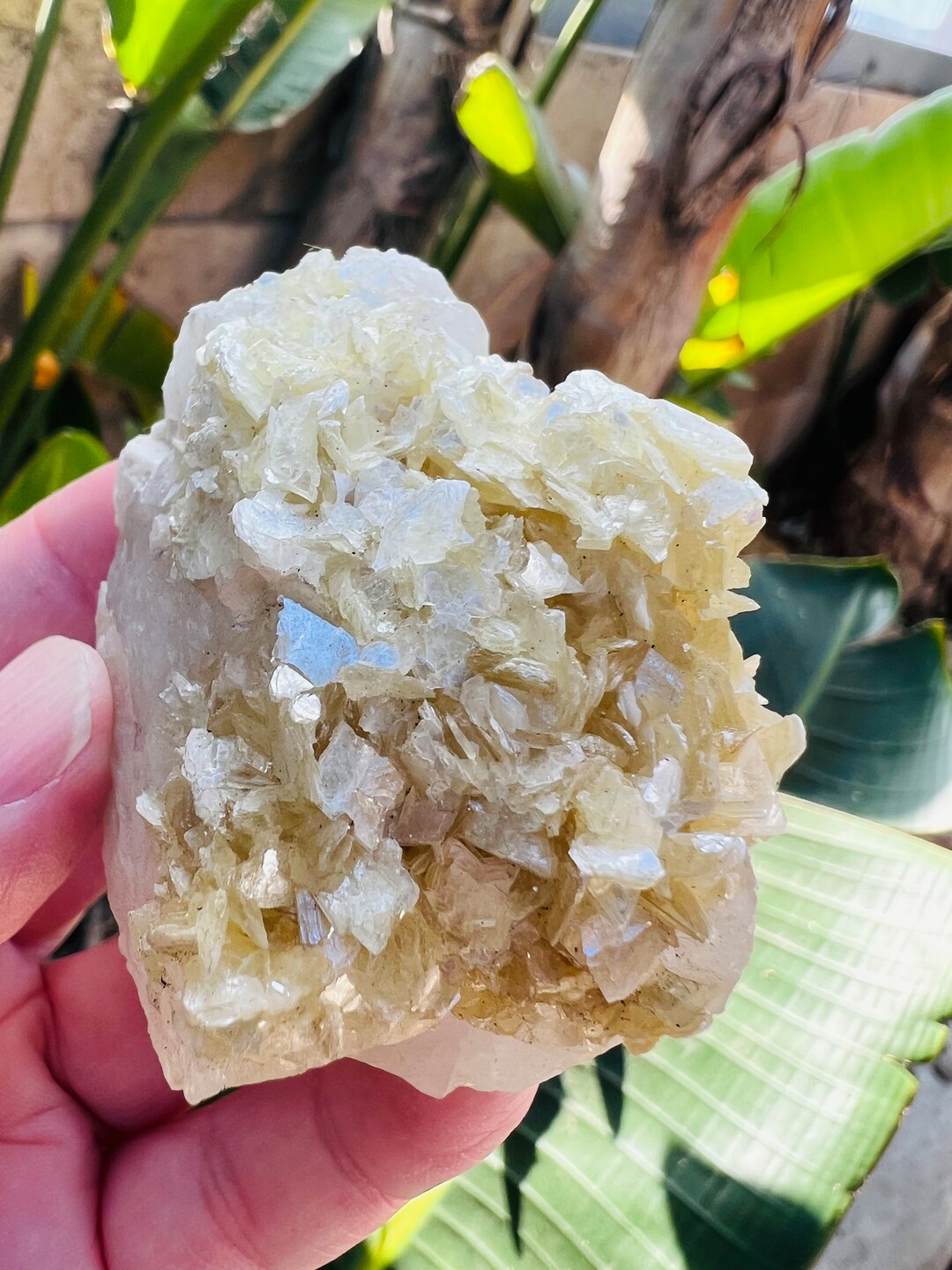 Golden Yellow Mica Crystal on Matrix Freeform With Stand - Etsy