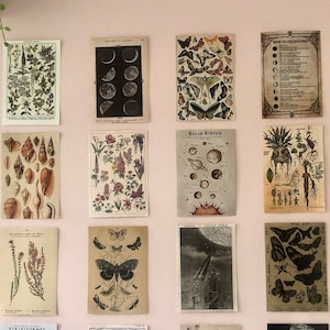 Natural Botanical Aesthetic Wall Collage Kit- 20 Physical Prints - Etsy