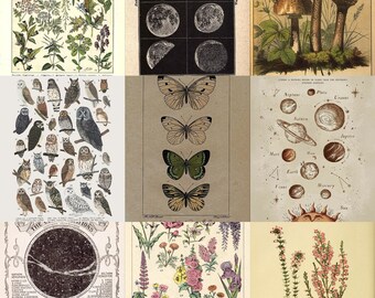 Collage Wall Kit Physical - Etsy