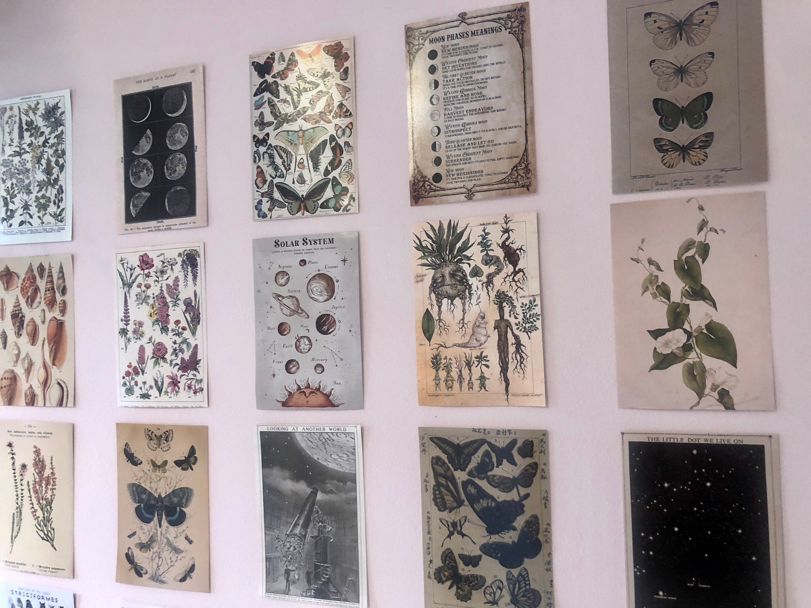Natural Botanical Aesthetic Wall Collage Kit 20 Physical - Etsy