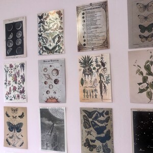 Natural Botanical Aesthetic Wall Collage Kit 20 Physical - Etsy