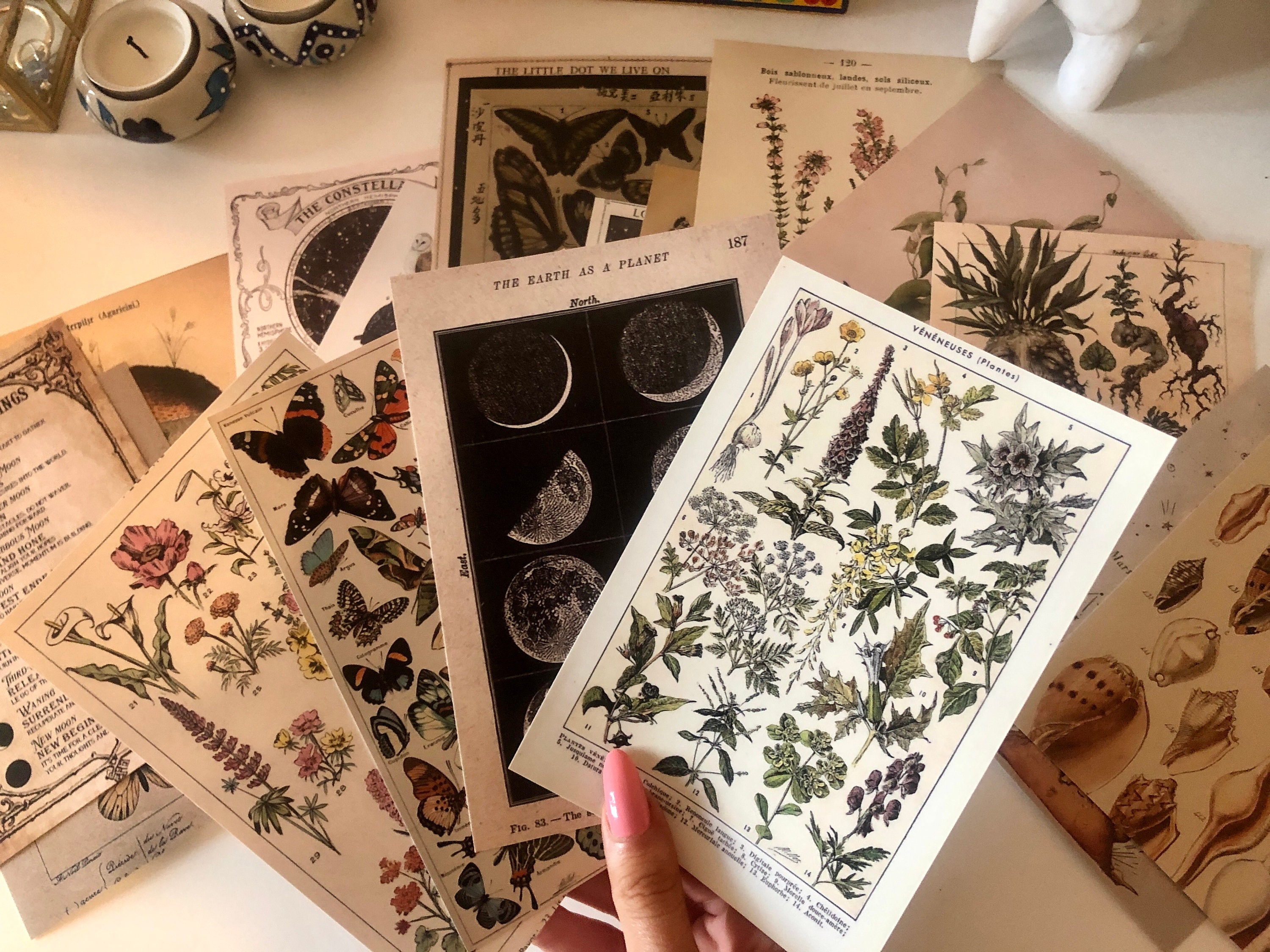 Natural Botanical Aesthetic Wall Collage Kit 20 Physical - Etsy