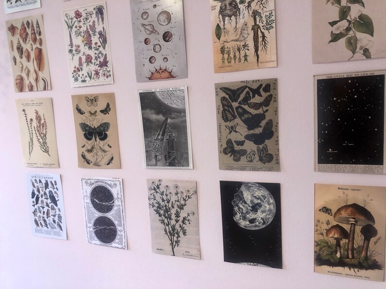 Natural Botanical Aesthetic Wall Collage Kit 20 Physical - Etsy