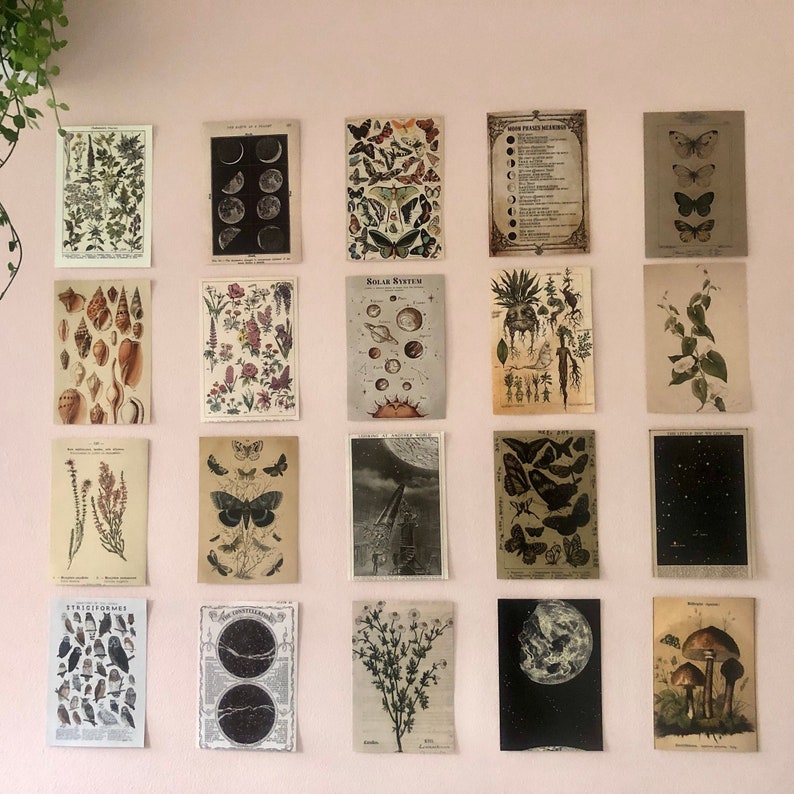Natural Botanical Aesthetic Wall Collage Kit 20 Physical Prints - Etsy