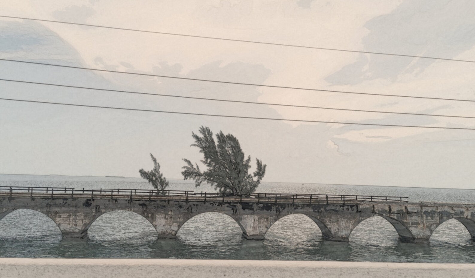 Fred the Tree in the Florida Keys Digital Download - Etsy