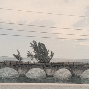 Fred the Tree in the Florida Keys Digital Download - Etsy