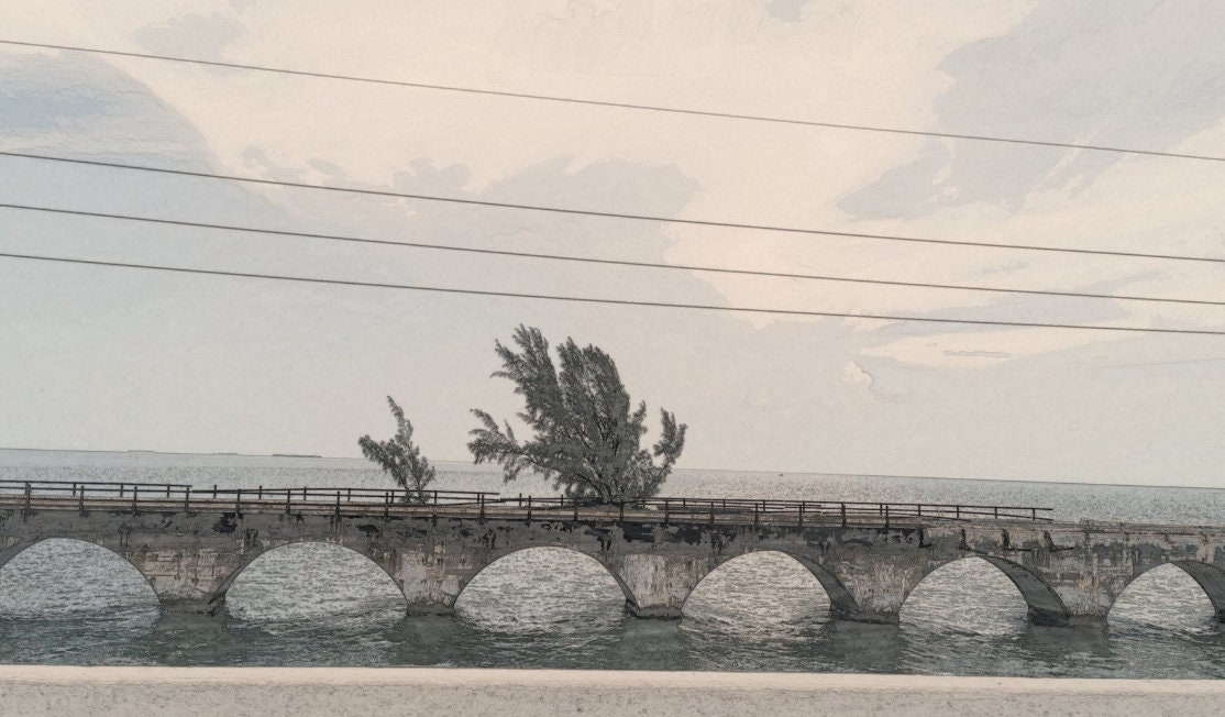 Fred the Tree in the Florida Keys Digital Download - Etsy