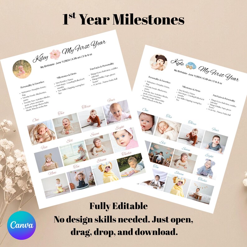 Editable Baby Milestone Chart Template: Boy Car & Girl Floral Designs ...