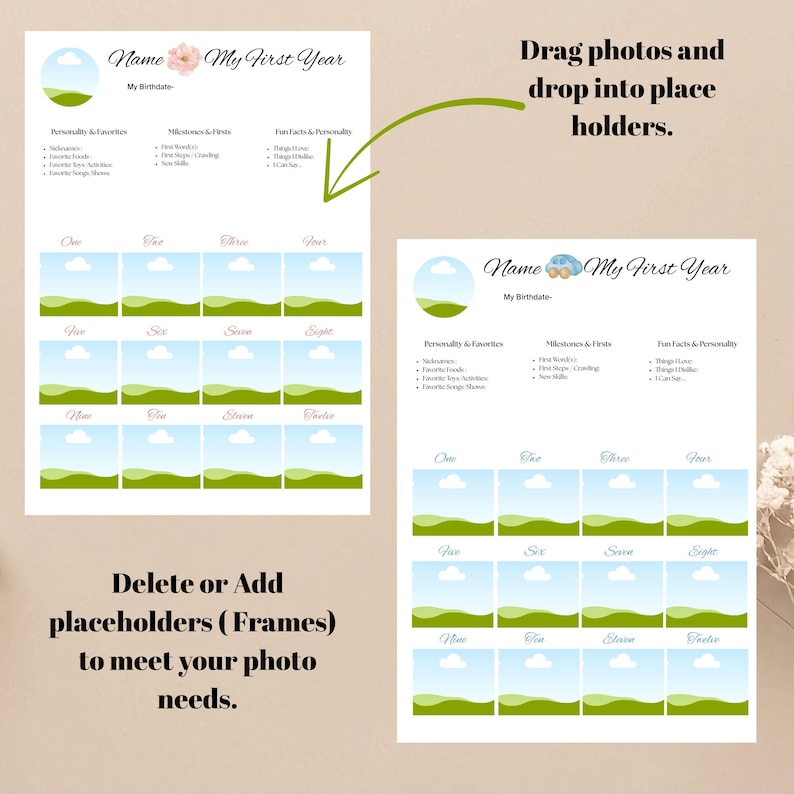Editable Baby Milestone Chart Template: Boy Car & Girl Floral Designs ...
