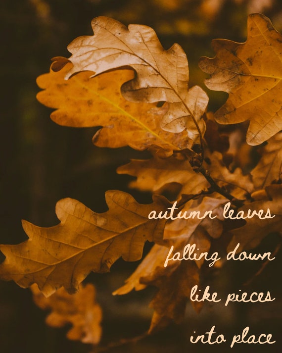 Autumn Leaves Falling Down Like Pieces Into Place