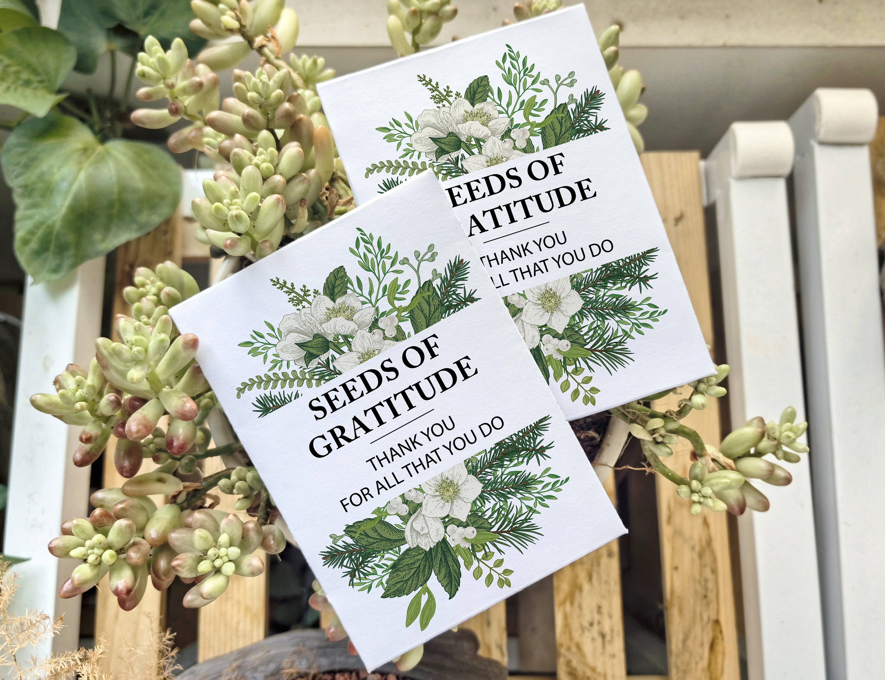 Personalized Party Favor for Graduations Teachers/gratitude Seed Packet ...