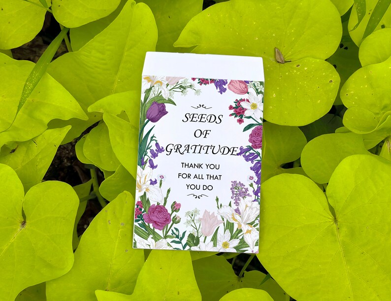 Gratitude Seed Packets/personalized Seed Packet/staff Appreciation Gift ...